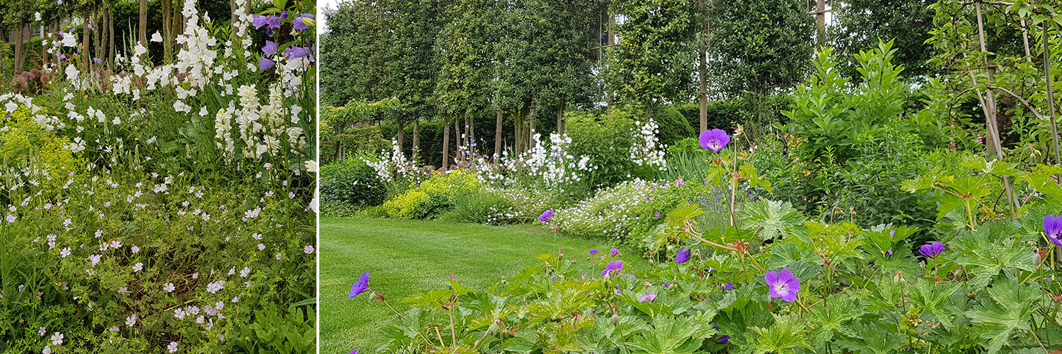 Borders - Natuur en beleving concept, Boomkwekerij Espaliers